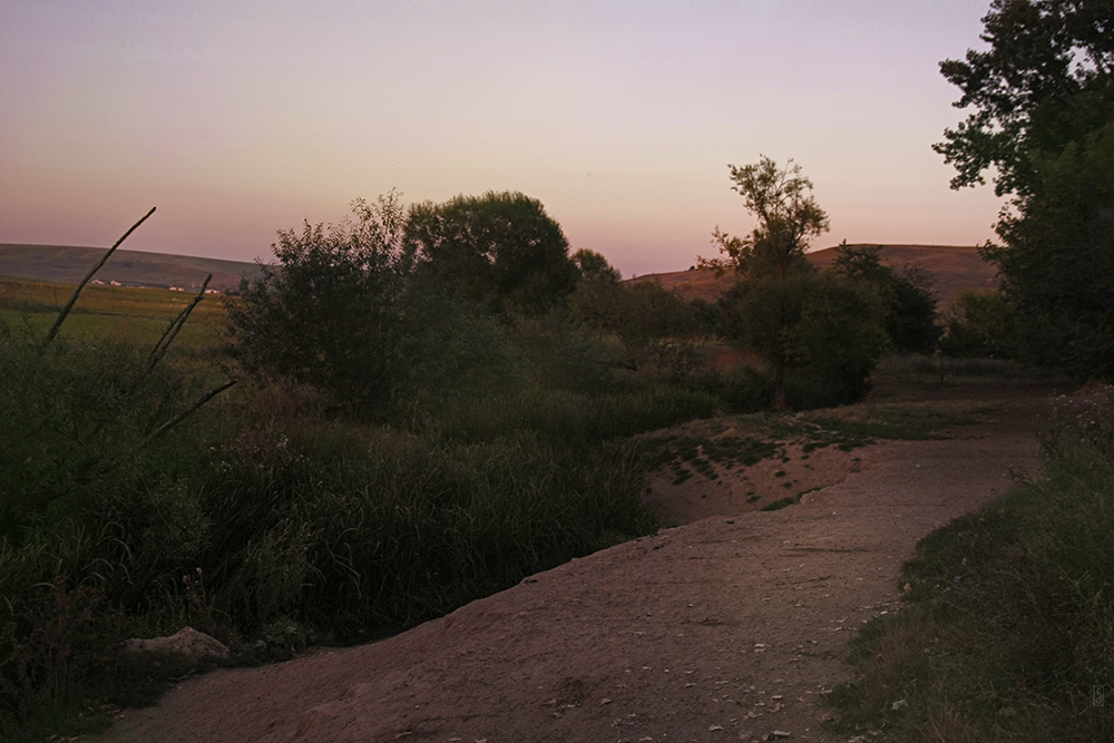 Beef steak with mild hot sauce
