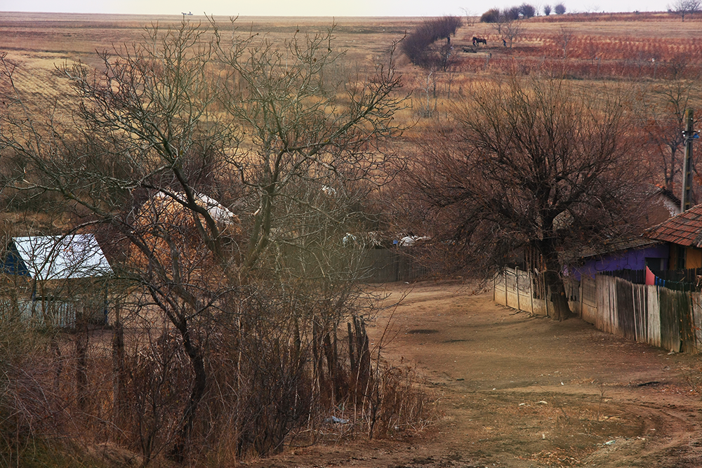 © Ciprian Paleologu