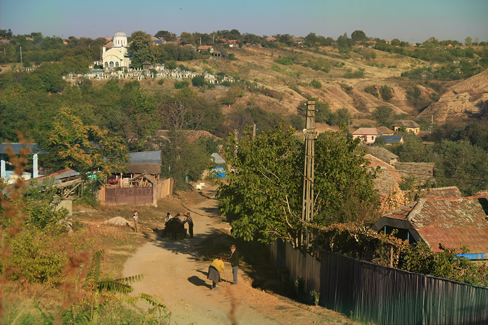Aperitifs, cheeses in pastry