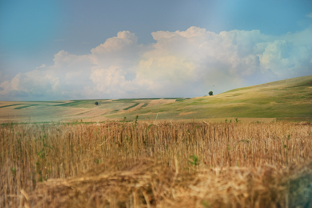 © Ciprian Paleologu